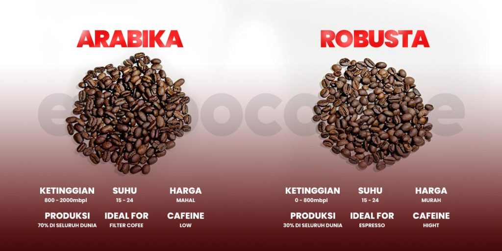 Kenali Kopi Toraja: Apakah Rasa Pahit jadi Ciri Khasnya? - Empo Coffee Roastery
