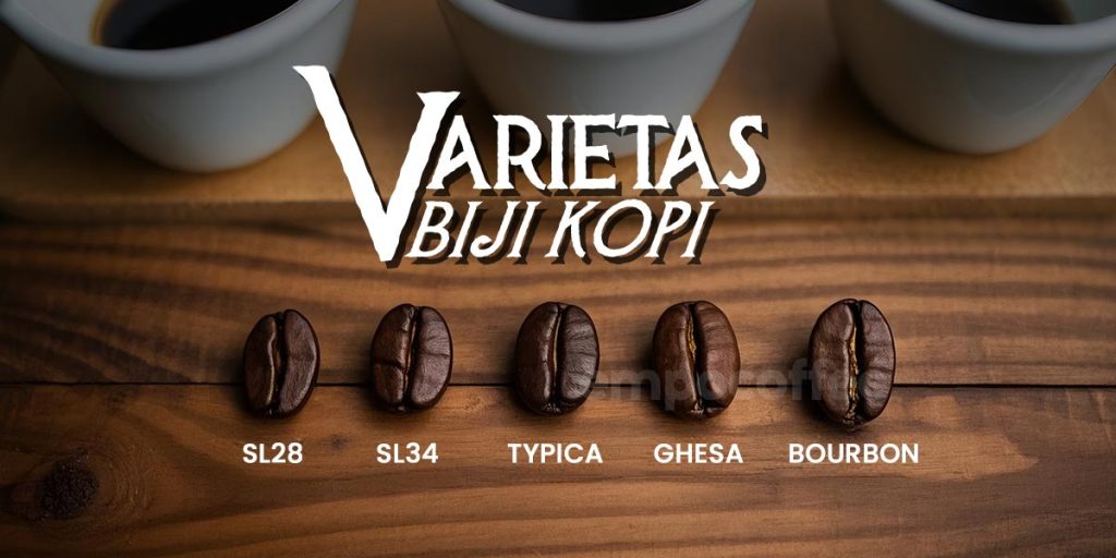 Jenis Biji Kopi Utama yang Paling Populer dari Seluruh Dunia - Empo Coffee Roastery