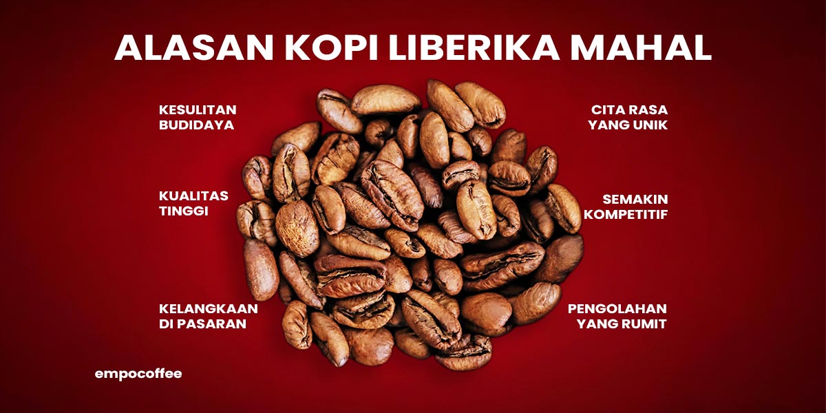 7 Jenis Kopi terbaik di Indonesia yang Wajib diketahui! - Empocoffee