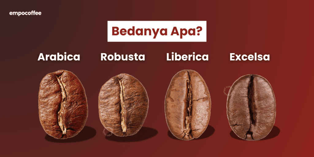 Kopi Liberika, Kenapa Mahal? Ini Alasannya! - Empo Coffee Roastery